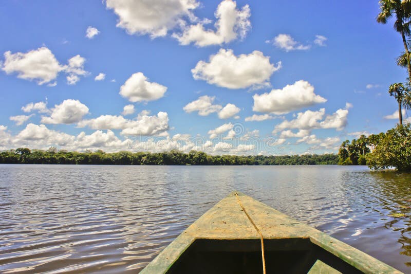 Amazon basin stock image. Image of color, colorful, nature - 8346487