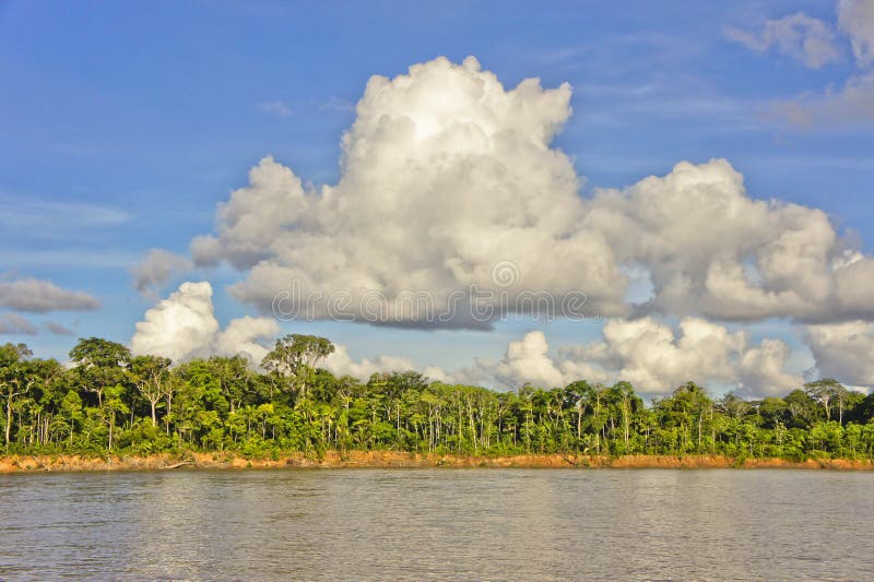 Amazon Basin, Peru, South America Stock Photo - Image of latin, horizon ...