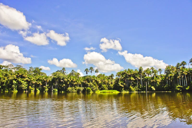 Amazon Basin, Sandoval Lake, Peru, South America Stock Image - Image of ...