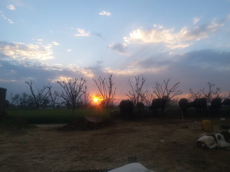 A Beautiful Sunset View on Rural Area Stock Photo - Image of amazon ...