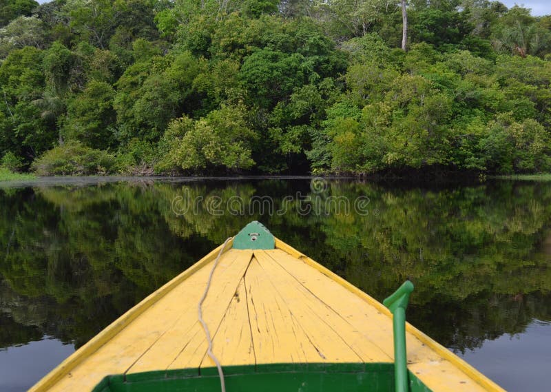 Amazon forest stock photo. Image of forest, ride, canoe - 206409944