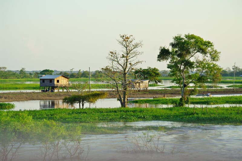 Amazon house editorial stock photo. Image of housing - 82596243