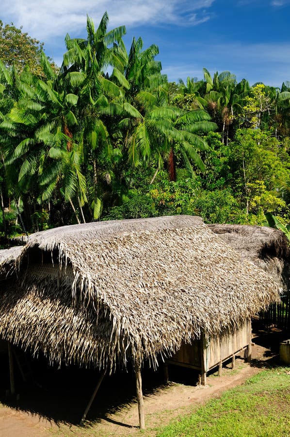 Amazon Indian Tribes in Colombia Stock Photo - Image of animal, green ...