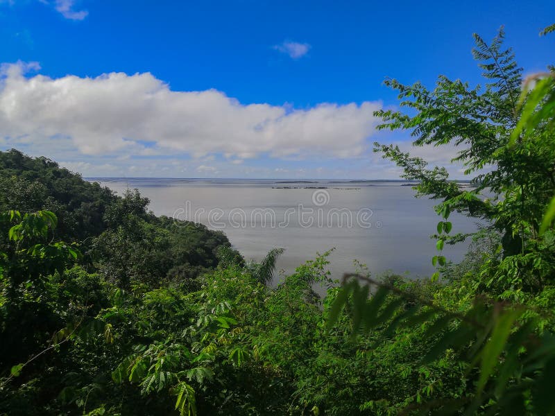 Amazon Island in the Middle of the River Stock Photo - Image of ...
