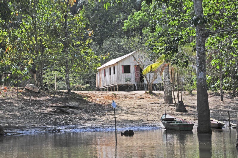 Amazon Jungle House (the Amazonia) Stock Image - Image of primeval ...