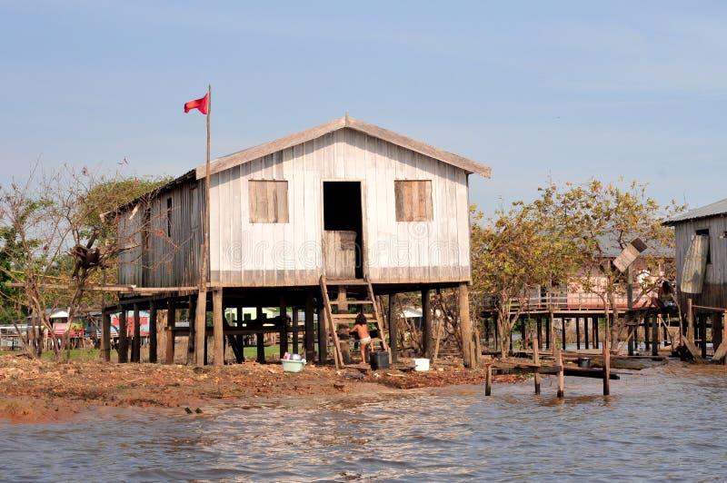 Typical Amazon Jungle Home (Amazonia) Stock Image - Image of favela ...