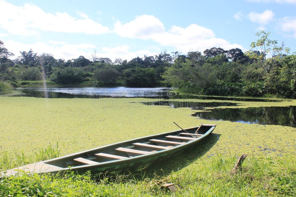 Amazon Lake stock image. Image of amazon, peaceful, lake - 41837087