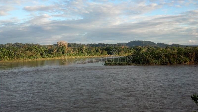 The amazon stock photo. Image of rainforest, tributaries - 93596908