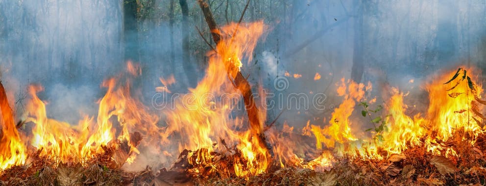 1,877 Amazon Fire Wallpapers Stock Photos - Free & Royalty-Free Stock ...