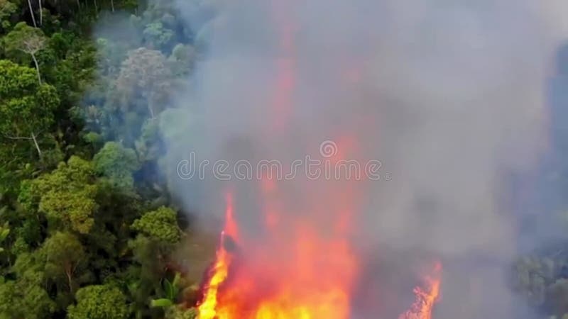 Wildfires in the Amazon Rainforest: a Growing Crisis Stock Footage ...