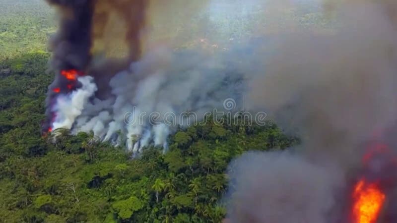 Wildfires in the Amazon Rainforest: a Growing Crisis Stock Video ...