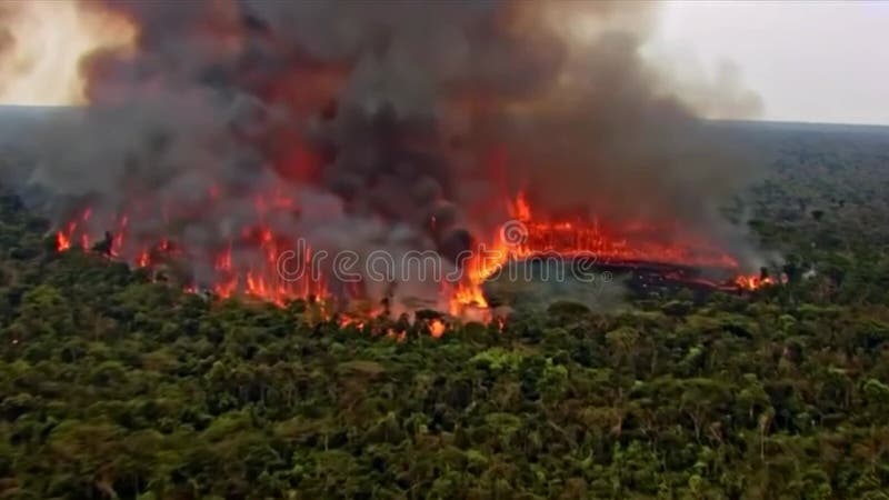Wildfires in the Amazon Rainforest: a Growing Crisis Stock Footage ...