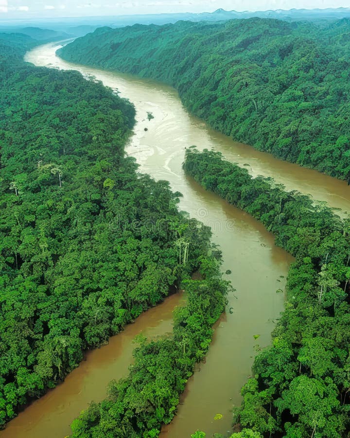 Rainforest Region Stock Illustrations – 961 Rainforest Region Stock ...