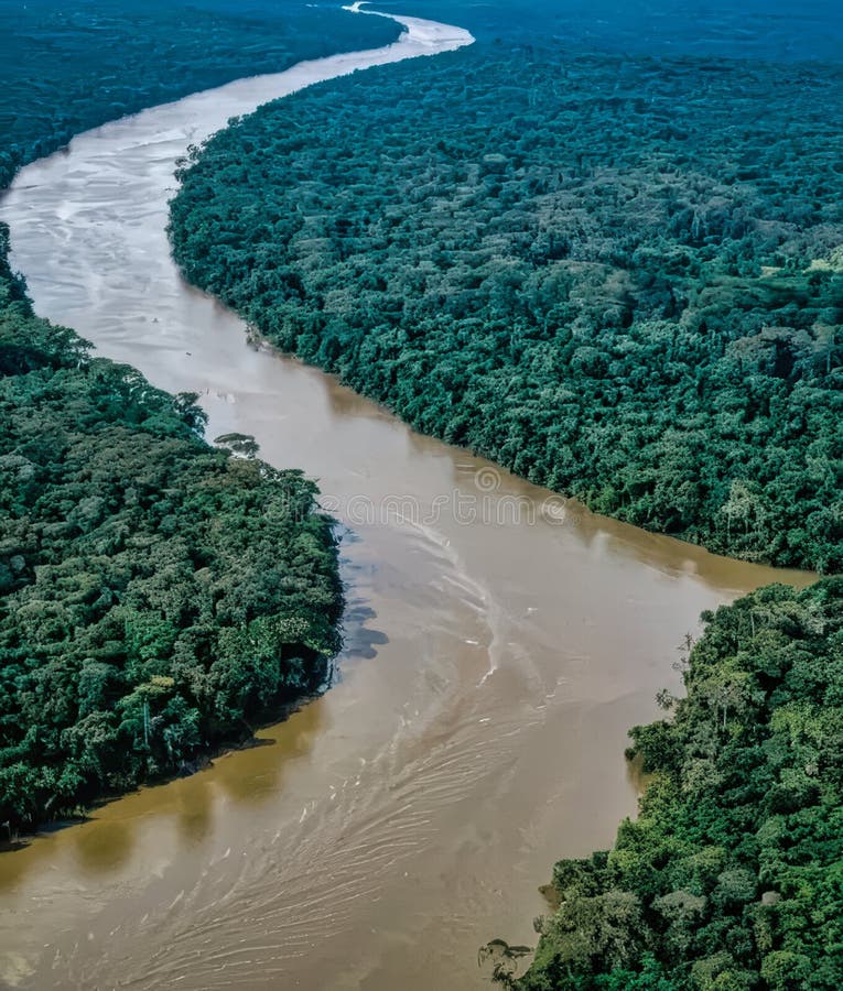 Amazon Rainforest Region stock illustration. Illustration of summer ...