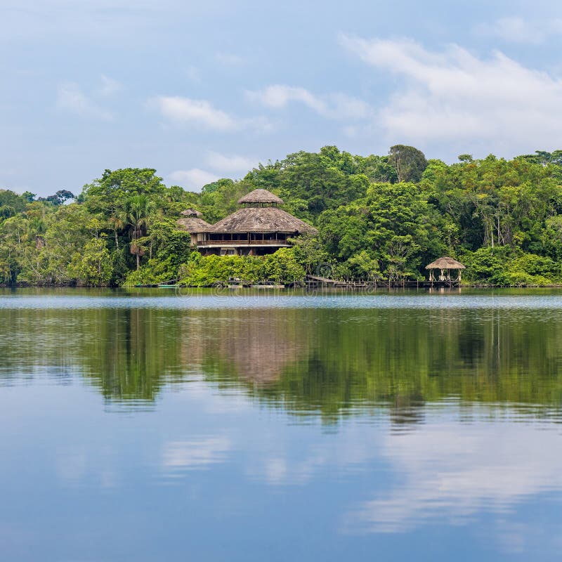 Amazon Rainforest River Hotel Reflection Stock Image - Image of forest ...