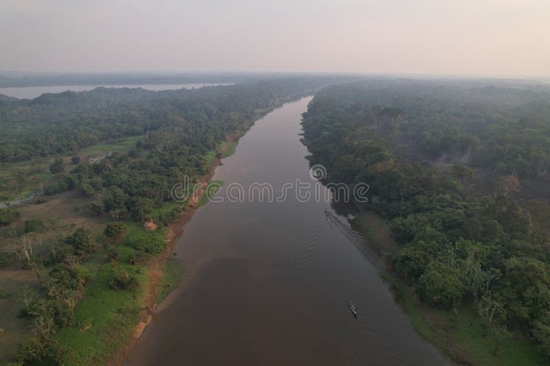 Amazon Rainforest River Winding Lush Greenery Dusk Stock Photos - Free ...