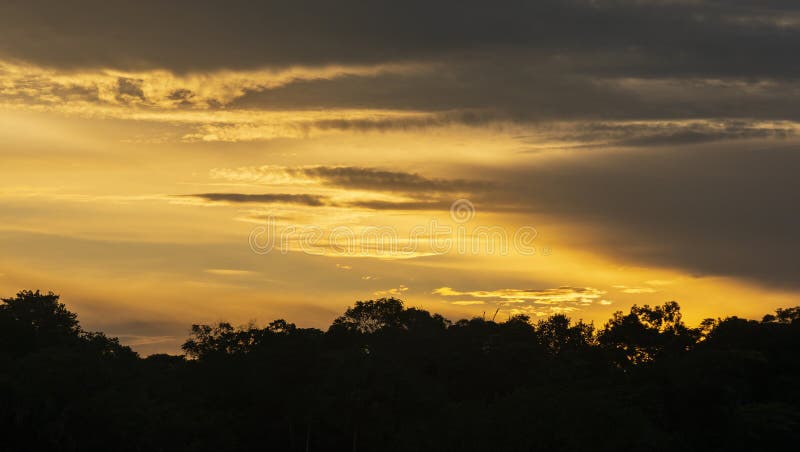 Amazon Rainforest Sunset stock photo. Image of amazonia - 179304024