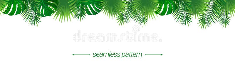 Amazon Rainforest Tropical Leaves Seamless Pattern. Summer Background ...