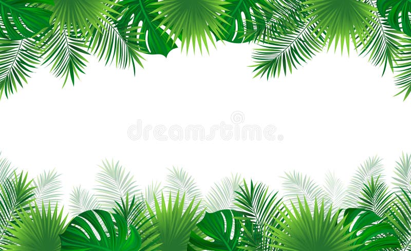 Amazon Rainforest Tropical Leaves Seamless Pattern. Vector Illustration ...