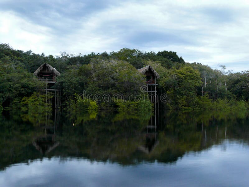 Amazon river stock image. Image of brazilian, amazon - 16574495