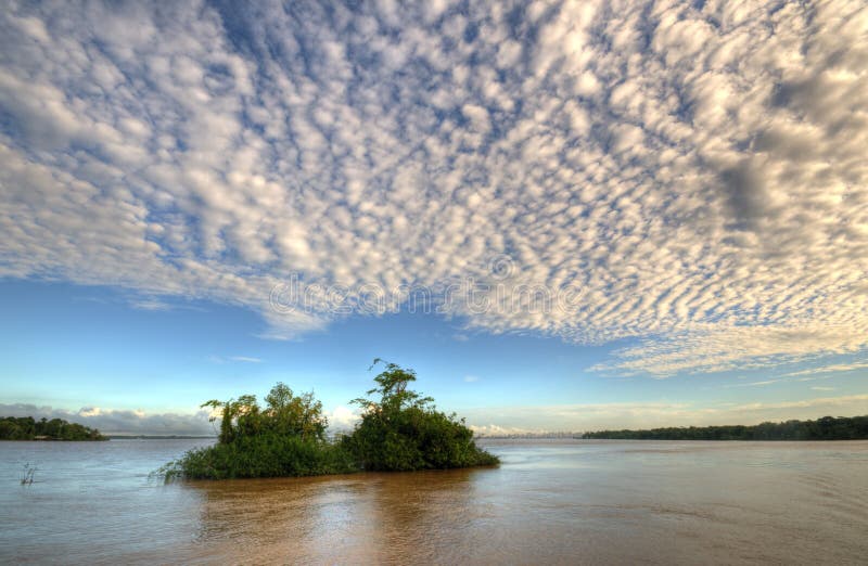 Aerial View of Amazon River Stock Photo - Image of cloud, environment ...