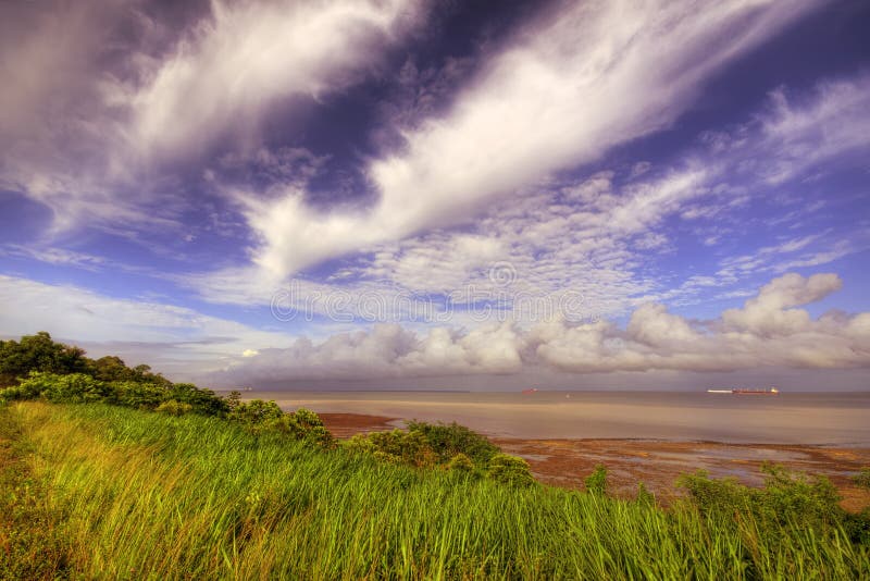 Amazon river stock image. Image of rock, water, river - 24549245