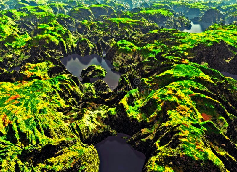 The Delta Of The Amazon River Stock Photo - Image of boat, amapa: 21004978