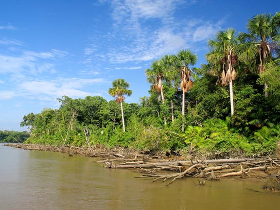 Amazon river stock image. Image of island, moist, blue - 8981231