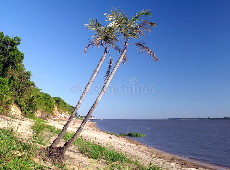 Amazon river stock image. Image of blue, brown, bright - 8981323