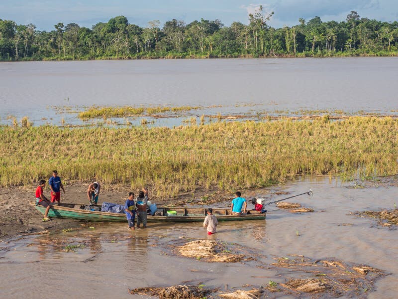Amazon River editorial stock photo. Image of crops, field - 275661998