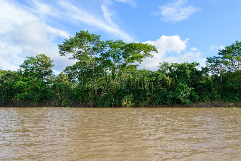 1,229 Amazon River Bank Stock Photos - Free & Royalty-Free Stock Photos ...