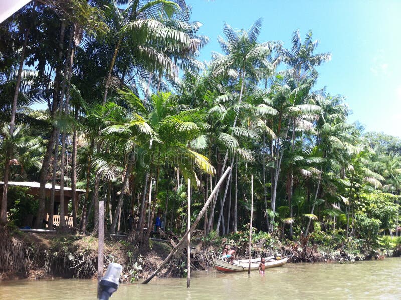 Amazon river editorial image. Image of amazon, barcos - 194542010