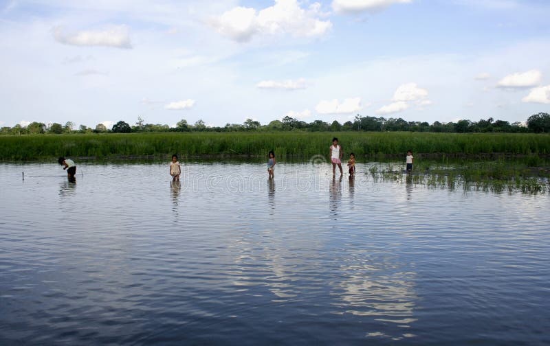 Amazon River Children Playing Editorial Photography - Image of peru ...