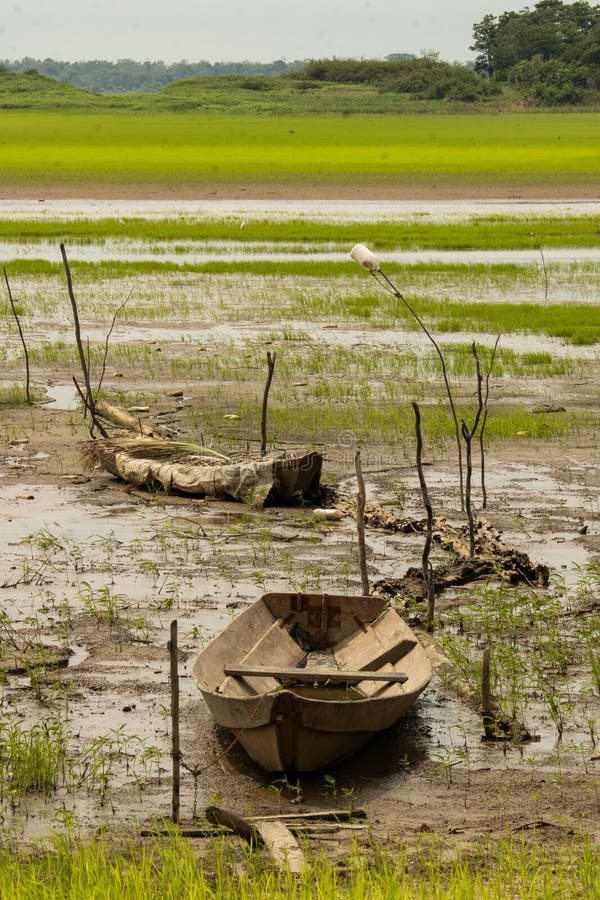 Amazon River Drought editorial stock photo. Image of water - 371515008