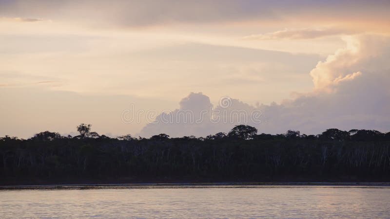 Amazon River Flowing through the Rainforest, at Du Stock Footage ...