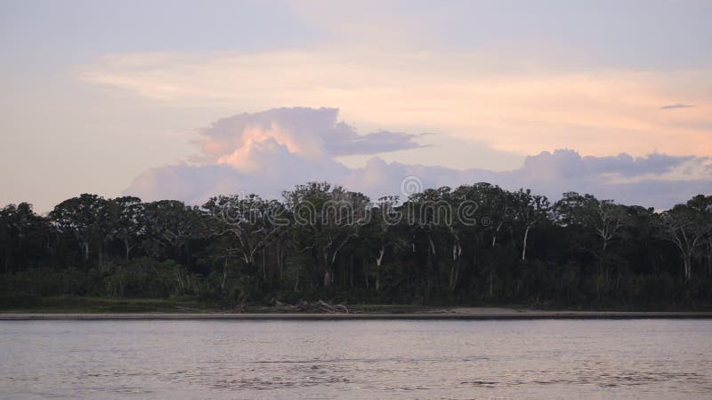 Amazon River Flowing through the Rainforest, at Du Stock Footage ...