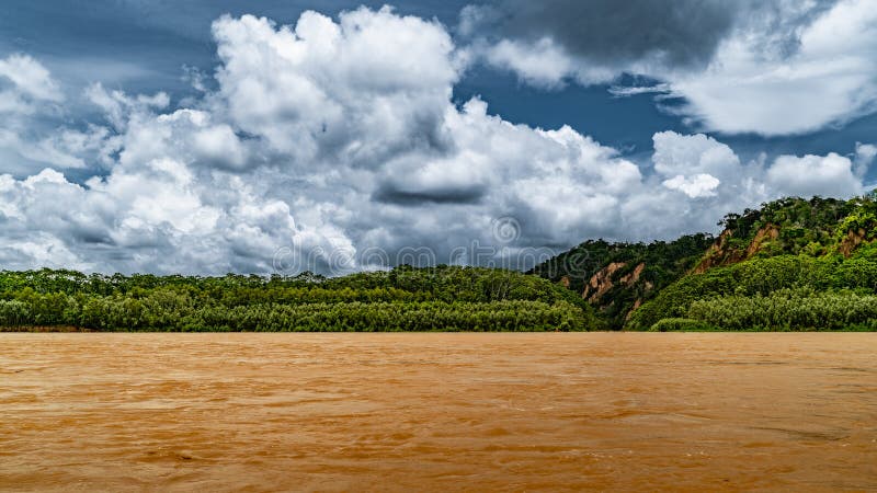 Amazon River stock photo. Image of river, nature, napo - 365758640