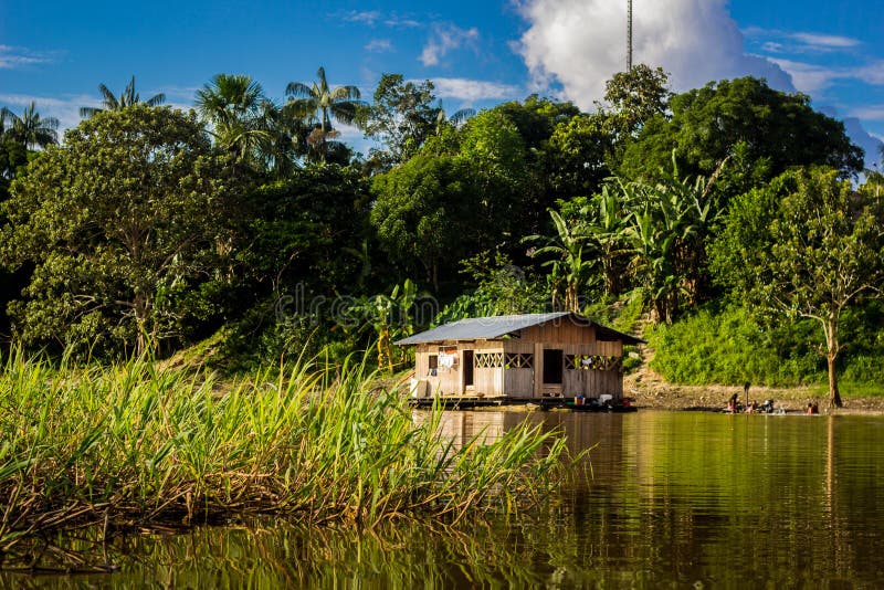 Amazon River Jungle House Boat Stock Image - Image of boat, lodge: 46259801