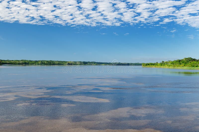 Amazon River Landscape in Brazil Stock Image - Image of amazonic ...