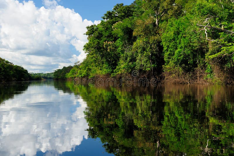 Amazon River Landscape in Brazil Stock Image - Image of amazon, protect ...