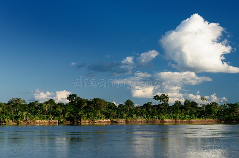 Amazon River Landscape in Brazil Stock Image - Image of amazon, protect ...