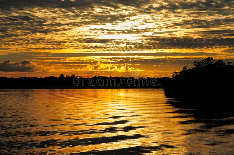 Amazon River Landscape in Brazil Stock Image - Image of amazon, protect ...