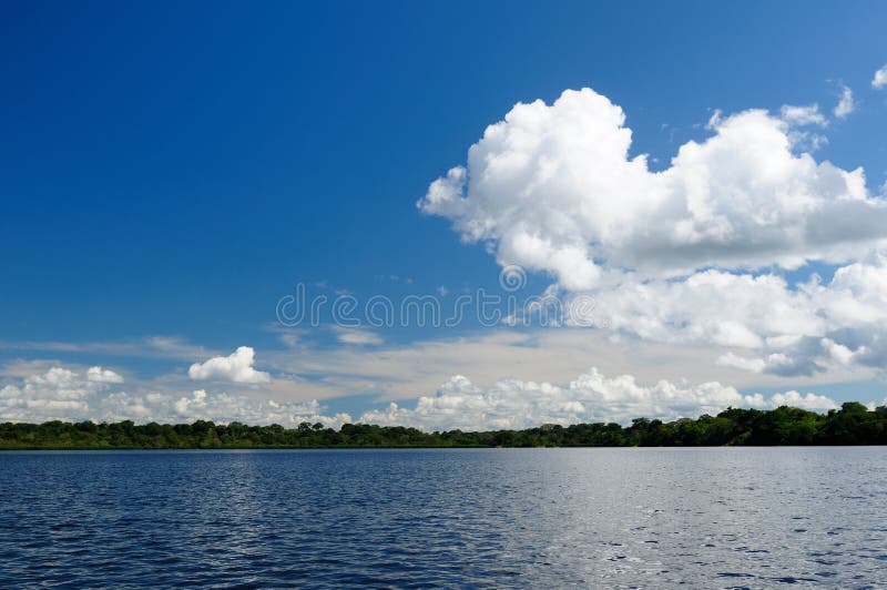 Amazon River Landscape in Brazil Stock Image - Image of amazon, protect ...