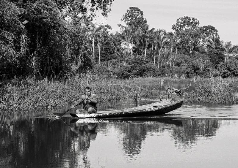 Amazon Canoe stock photo. Image of tree, enjoy, extreme - 7679200