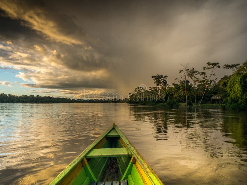 Amazon River stock photo. Image of beautiful, bush, lovely - 85626624