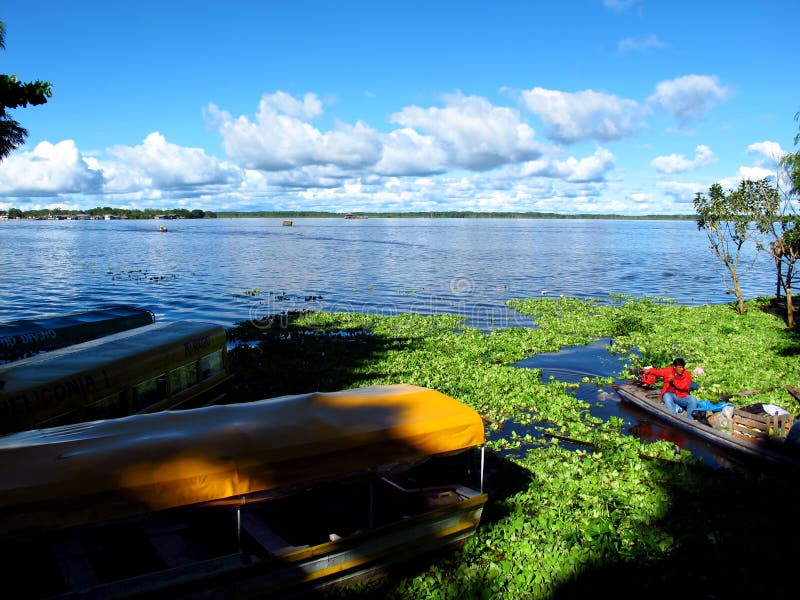 Amazon River, Peru - 12 May 2011: the Coastline of Amazon River in Peru ...