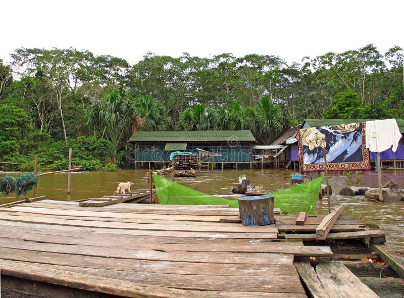 Amazon River, Peru - 10 May 2011: the House in Amazon River in Peru ...