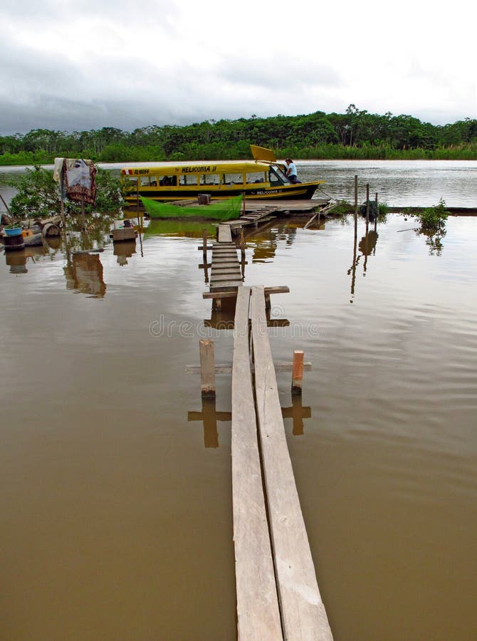 Amazon River, Peru - 10 May 2011: the House in Amazon River in Peru ...