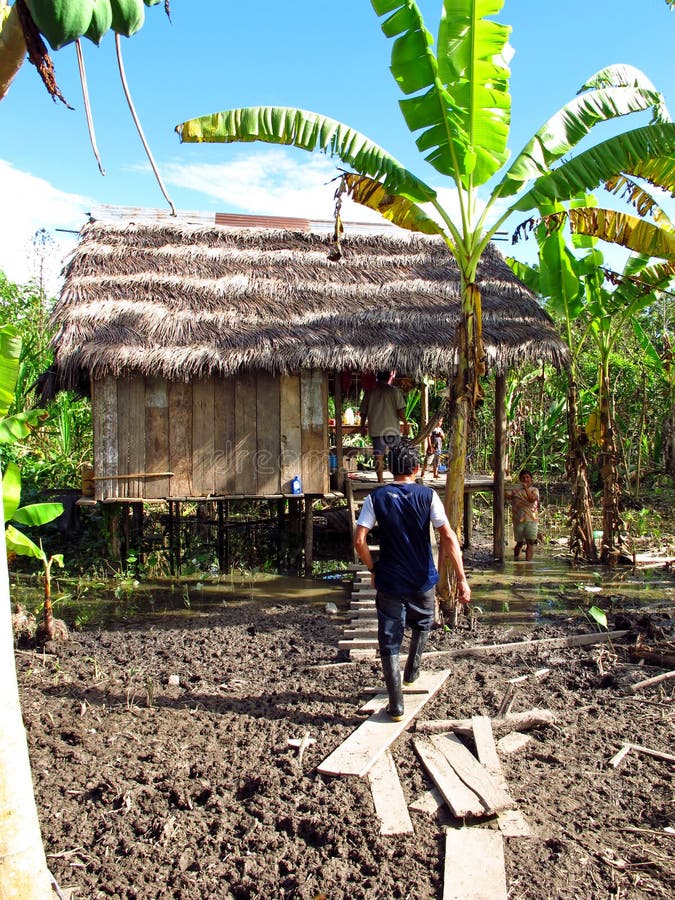 Hunter House Amazon River Peru South America Stock Photos - Free ...