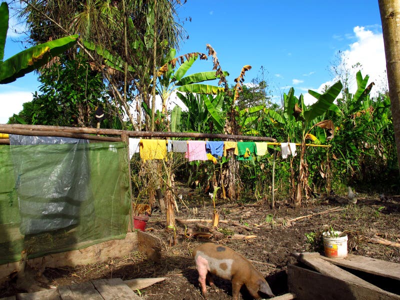 Amazon River, Peru - 12 May 2011: Hunter House on Amazon River in Peru ...